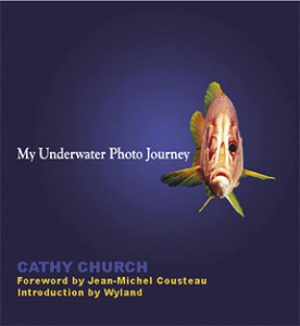 Fine Art Store - Cathy Church Photo Centre and Gallery