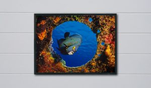 Fine Art Prints - Cathy Church Photo Centre and Gallery